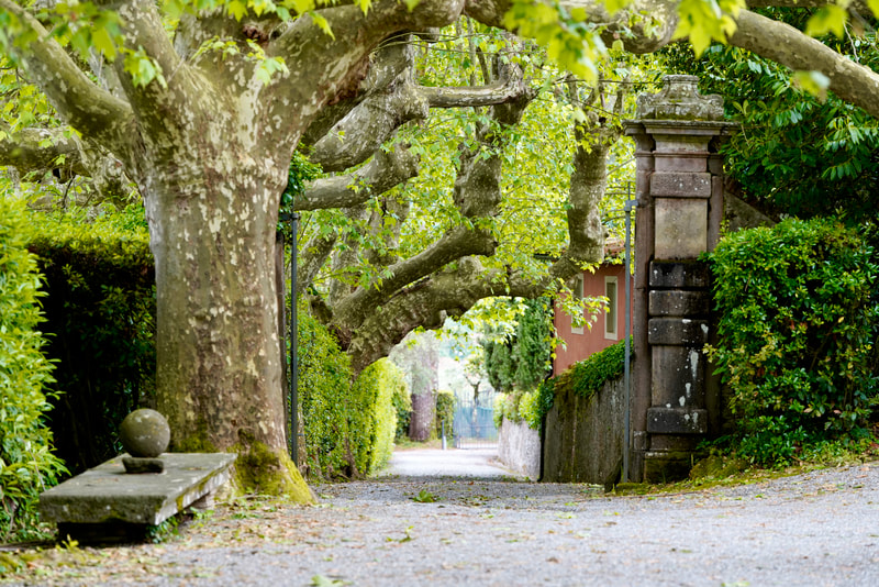 Italy Retreat Virtual Functional Medicine | Dr. Robin L. Futoran